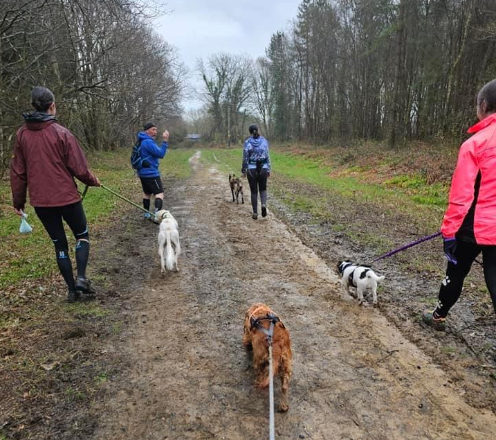 The Amazing World of Canicross For You and Your Dog – SkellyWags Dog ...